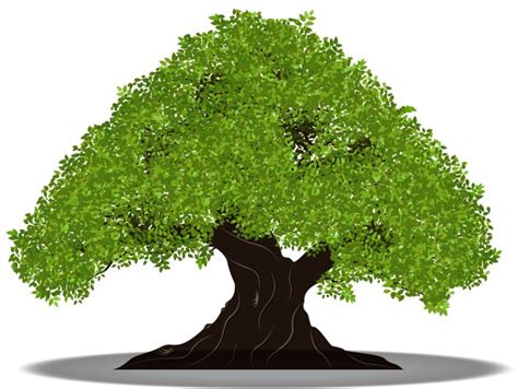Oak Tree Royalty Free Vector Image Vectorstock