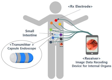 Low Power High Data Rate Digital Capsule Endoscopy Using Human Body
