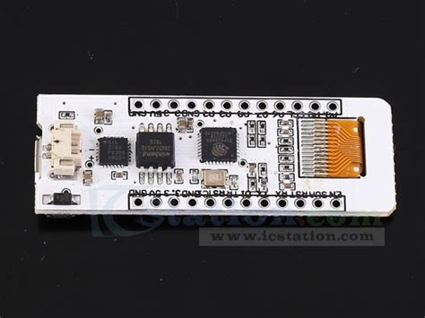 ESP IoT Development Board With OLED Display