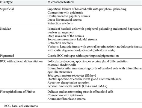 Histopathological Features Of Low Risk Recurrence Bcc Subtypes
