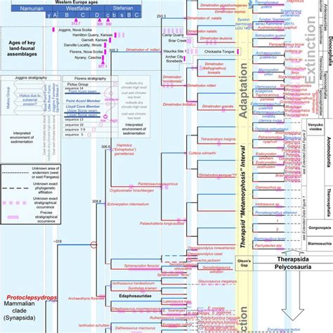 Pdf An Early Pangaean Vicariance Model For Synapsid Evolution