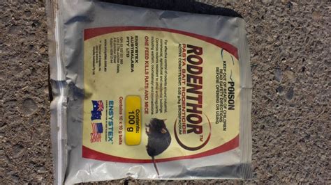 The Best Roach Killer 2026