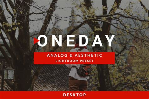 Oneday Analog And Aesthetic Lr Preset Masterbundles