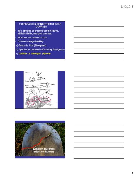 Relative Resource Manager Pdf Golf Course Lawn