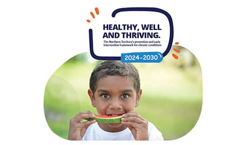 Introducing The Chronic Conditions Framework Nt Health