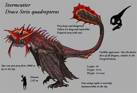 Stormcutter Cloudjumper Species Stormcutter Size Stormcutter Dragon