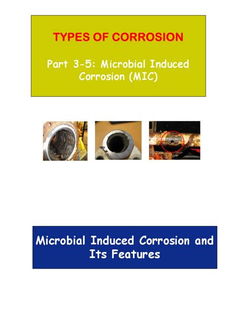 3 5 Microbial Induced Corrosion Final Pdf