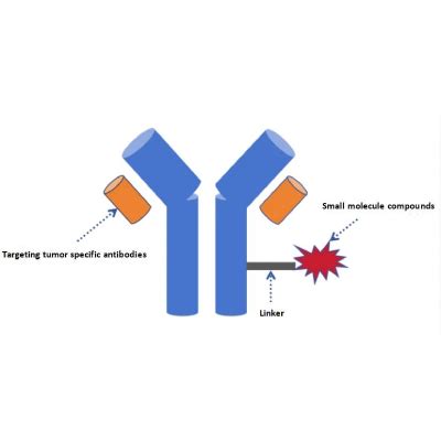หนง หยดผลตภณฑ โซลชนสำหรบการวจย ADC ในหลอดทดลอง Iphase