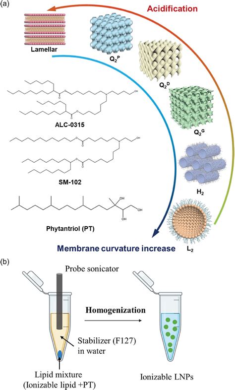 Ph‐dependent Lyotropic Liquid Crystalline Mesophase And Ionization