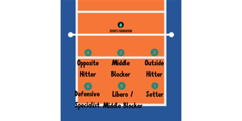 6 Volleyball Positions And Roles Explained Chart