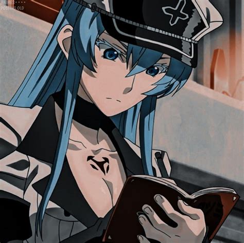 Esdeath •akame Ga Kill Аниме девушка Иллюстрация персонажей Аниме