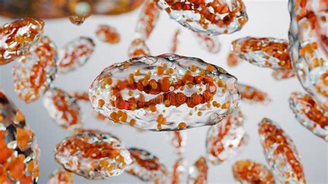 Monkeypox Infection Pandemic Monkeypox Cell Symptoms Or Precautions