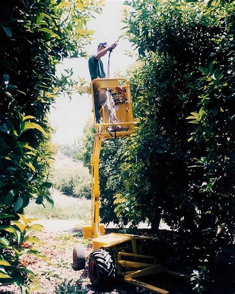 Am Mini Lopper Afron Developing Innovative Pruning And Hedging Solutions