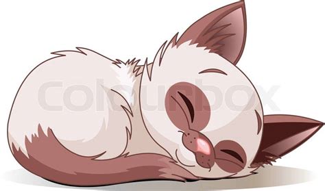 Vector Illustration Of Sleeping Cute Siamese Kitten Colourbox
