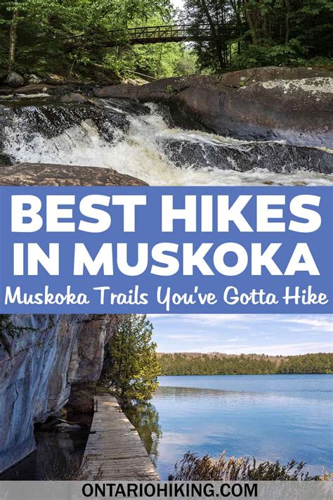Best Muskoka Hiking Trails Ultimate Guide To Hiking In Muskoka