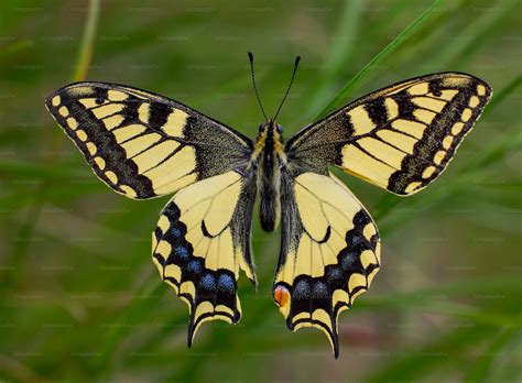 Zdeněk Macháček Zmachacek Unsplash Photo Community