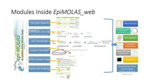 Epimolas An Intuitive Web Based Framework For Genome Wide Dna Methylation Analysis Pdf