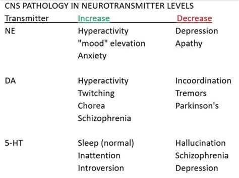 Behavioral Neuro 3 Flashcards Quizlet