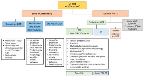 Update On Molecular Genetics Of Gastrointestinal Stromal Tumors