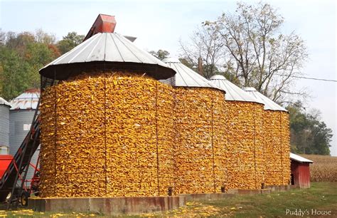 Importance Of Maize Crib At Alexander Kitchen Blog