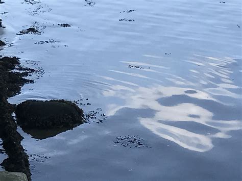 Diffraction Adventures In Oceanography And Teaching Diffraction Adventures In Oceanography And Teaching