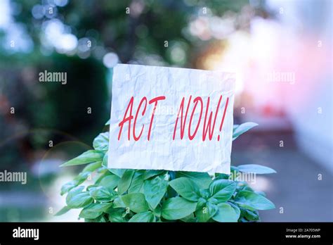 Conceptual Hand Writing Showing Act Now Concept Meaning Do Not Hesitate And Start Working Or