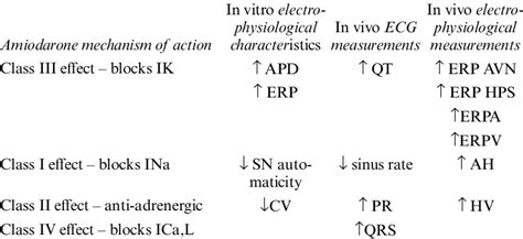 Pharmacodynamics Of Amiodarone Download Scientific Diagram