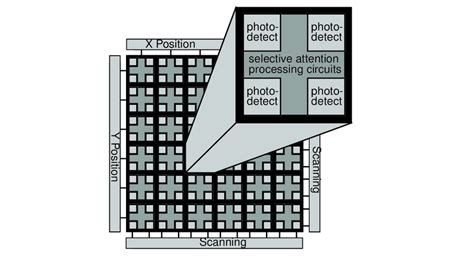 Multiresolution Architecture The Design Of The Two Dimensional Download Scientific Diagram