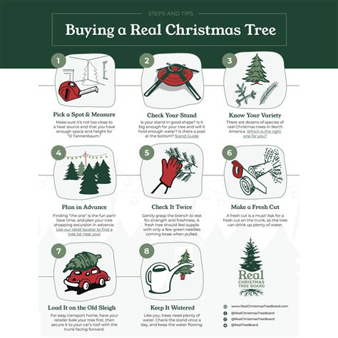 Our Trees Kelseys Christmas Tree Farm