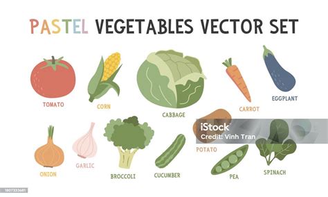 야채 벡터 세트입니다 귀여운 야채 벡터 그림입니다 다채로운 파스텔 야채 클립 아트 만화 평면 스타일 토마토 옥수수 양배추 당근 브로콜리 가지 양파 마늘 오이 시금치 가지
