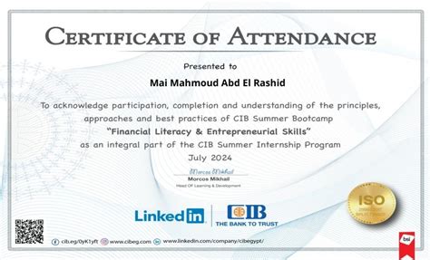 Cib Linkedin Cib Summer Internship 2024 Linkedin Data Literacy Mai Mahmoud