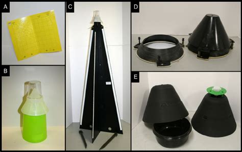 2 Types Of Trap Used For Testing Weevil Pheromones A Sticky Card