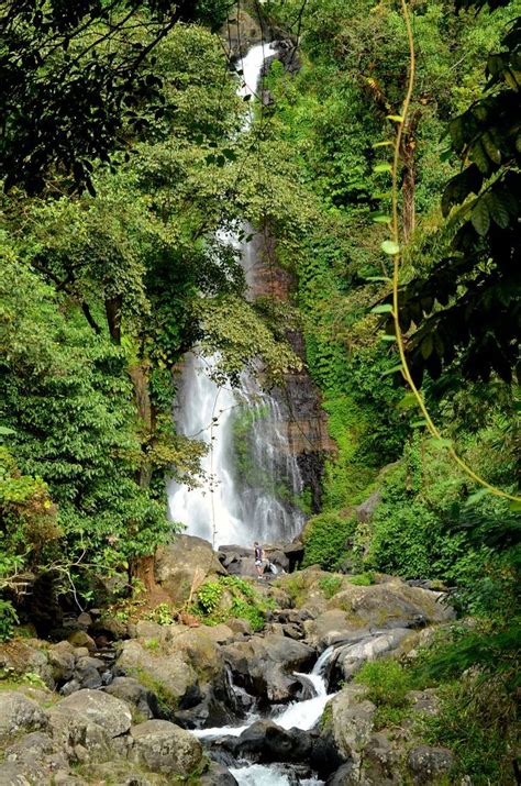 Gitgit Waterfalls Bali Travel Waterfall Bali Waterfalls
