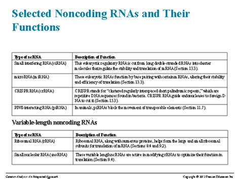 Genetics 2 26 Selected Noncoding Rnas And Their Functions Type Of