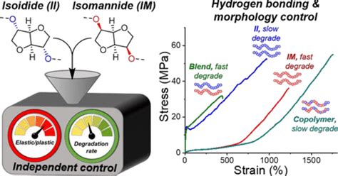 Scientists Design New Sugar Based Sustainable Polymers Sustainable