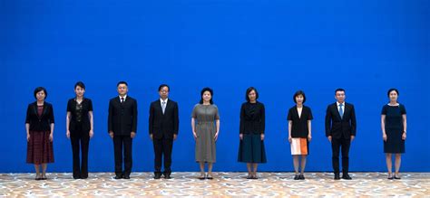 民进北京市委换届，庞丽娟当选主委靳东当选民盟北京市委副主委代表大会政治