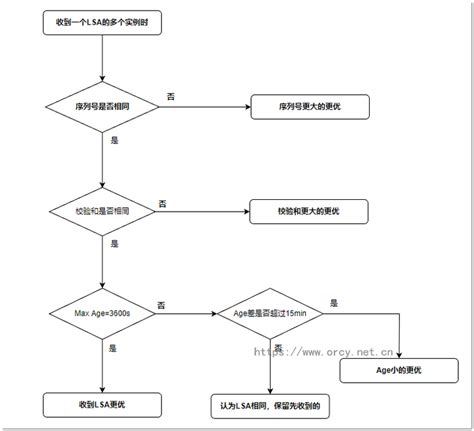 常见lsa类型及路由器对lsa的处理流程 下一朵云