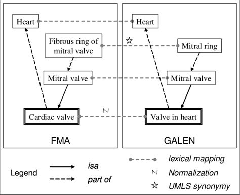 Structural Validation Following Lexical Alignment Download Scientific