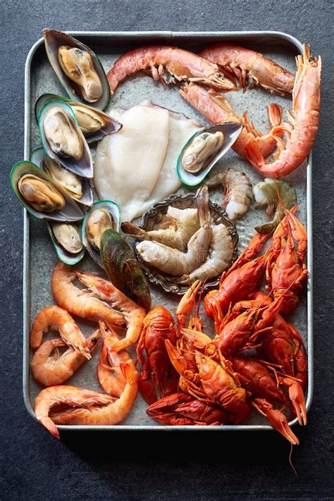 Various Raw Seafood Stock Image Image Of Assortment 204275585