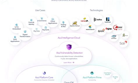 Azul Releases Saas For Java Applications