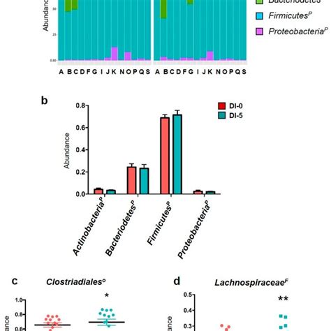Abundance Of Phyla By 16s Rrna Sequencing A Individual Abundance Of Download Scientific