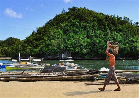 Partner News Lmax Group Partner With Philippine Reef And Rainforest