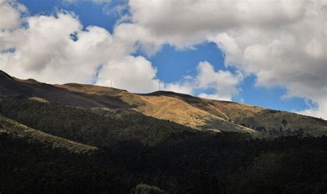 Imágenes De Ruco Descubre Bancos De Fotos Ilustraciones Vectores Y