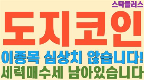 도지코인 긴급속보 이종목 심상치 않습니다세력매수세 남아있습니다 Youtube