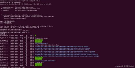Linux权限维持之suid后门、ssh后门ssh后面 Csdn博客