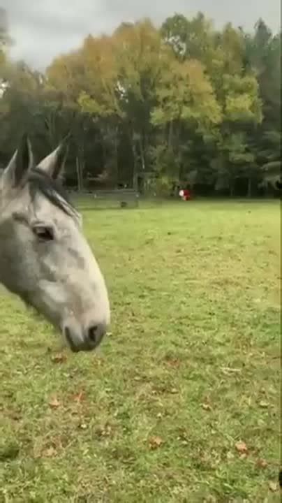 Danielle Braun Dr On Linkedin Op Naar Blok 2 Van De Leergang