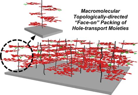Topological Design Of Highly Anisotropic Aligned Hole Transporting Molecular Bottlebrushes For