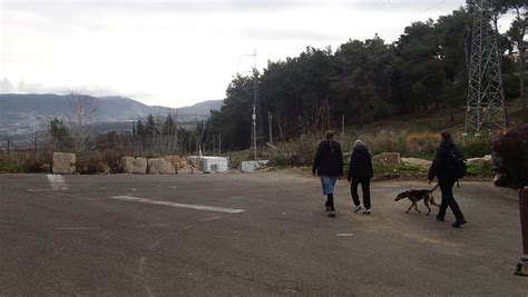 Migdal Tefen Travel Guide And Travel Tips Outdooractive