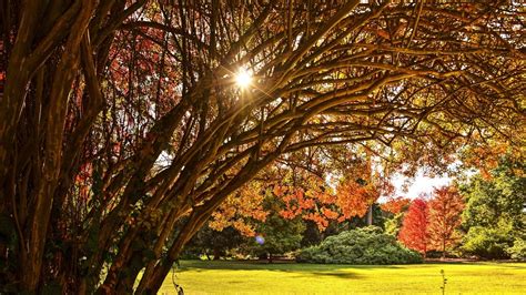 La Arboretum Basks In The Glow Of Autumn Nbc Los Angeles