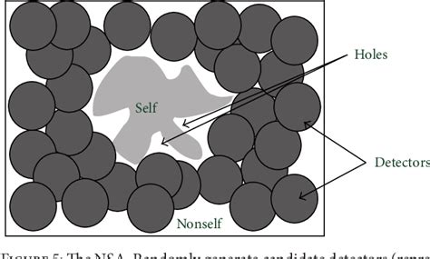 Figure 1 From A Survey Of Artificial Immune System Based Intrusion Detection Semantic Scholar